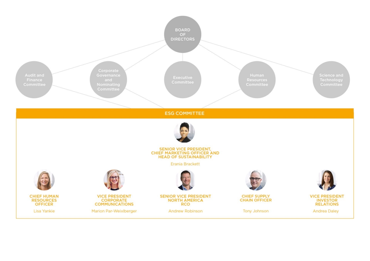 Our Approach to Managing Sustainability | Dentsply Sirona Norway